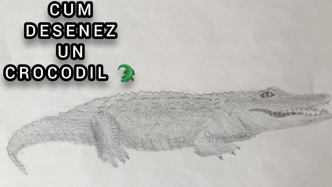 Cum desenez un Crocodil 🐊 | Desene în creion | - YouTube