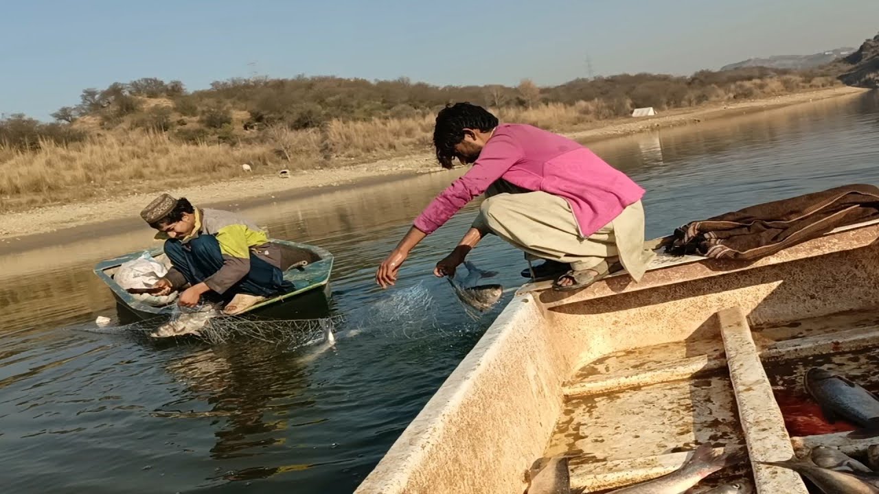 amazing fishing video bast fish shkar 🤫 - YouTube