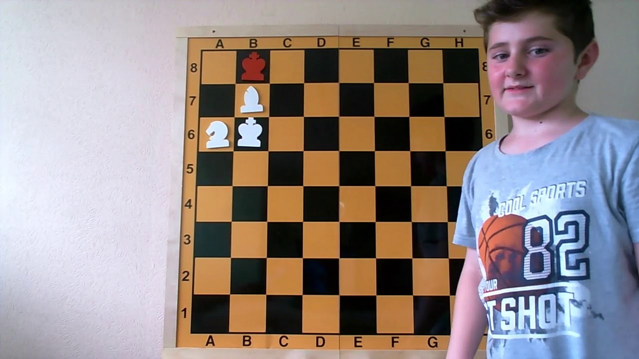 Die typichsten Schach Matts. Die ersten Regeln Folge 3 l Schachromatt ...