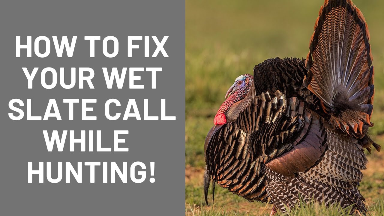 TURKEY HUNTING: SLATE CALLS AND HOW TO DRY ONE IN SECONDS! - YouTube