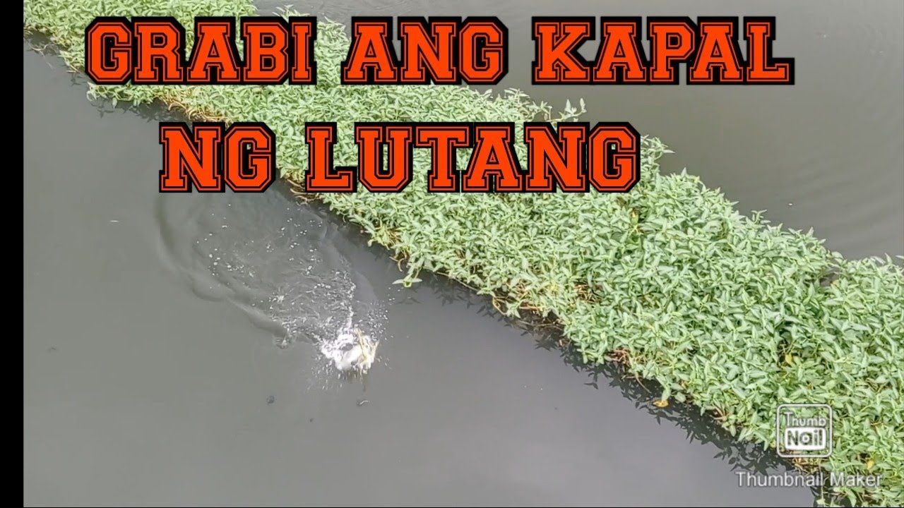 GRABI ANG KAPAL NG LUTANG MAKARAMI KAYA?/SHOUT OUT/TIKSAY FISH HUNTING ...