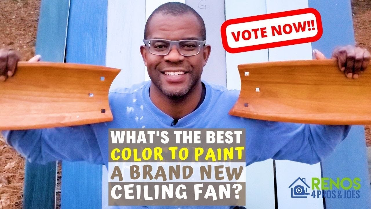 HOME DECORATOR'S ALTURA FAN UNBOXING | Testing Sample Paint Colors ...