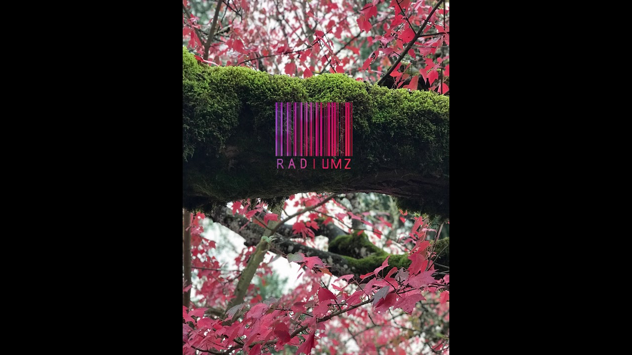 RadiumZ - Instrumental Beats Vol. 01 - YouTube