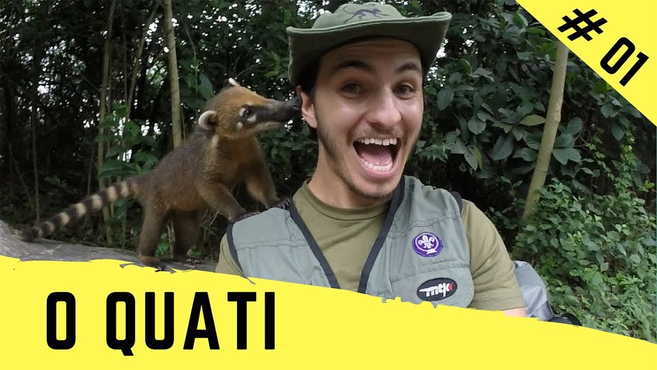 O Quati - YouTube