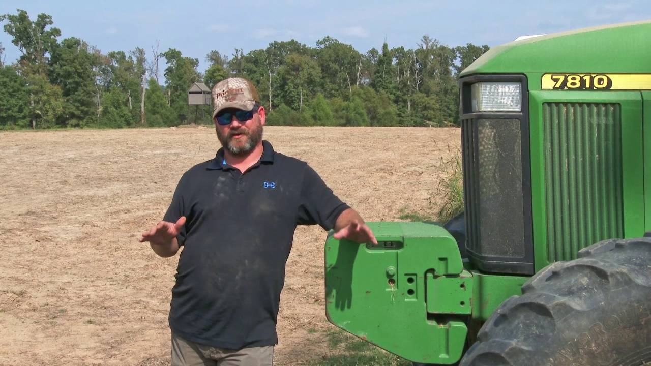 Preparing the Deer Pond Food Plot for Fall - YouTube