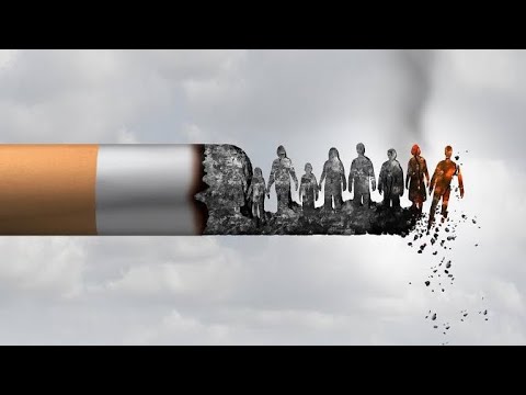 NAVADNA KONOPLJA 222 - DOLMUŞ KÜL TABLASI