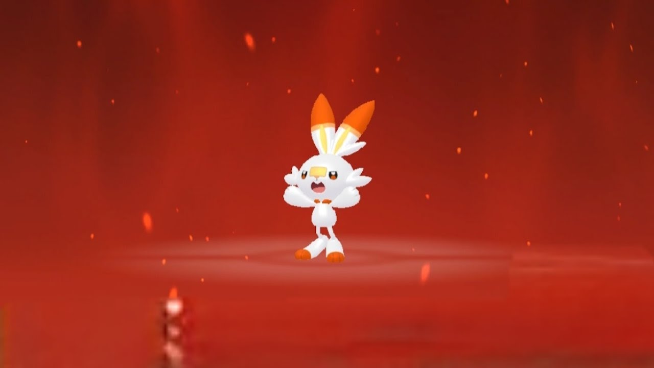 Pokédex #813: Scorbunny - YouTube