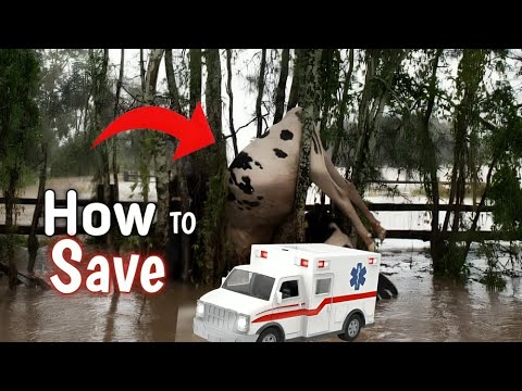 How to Save || full original video - YouTube