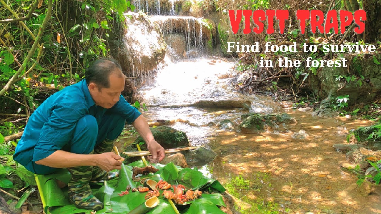 Visit traps, find food in the forest, survive alone || Life In The ...
