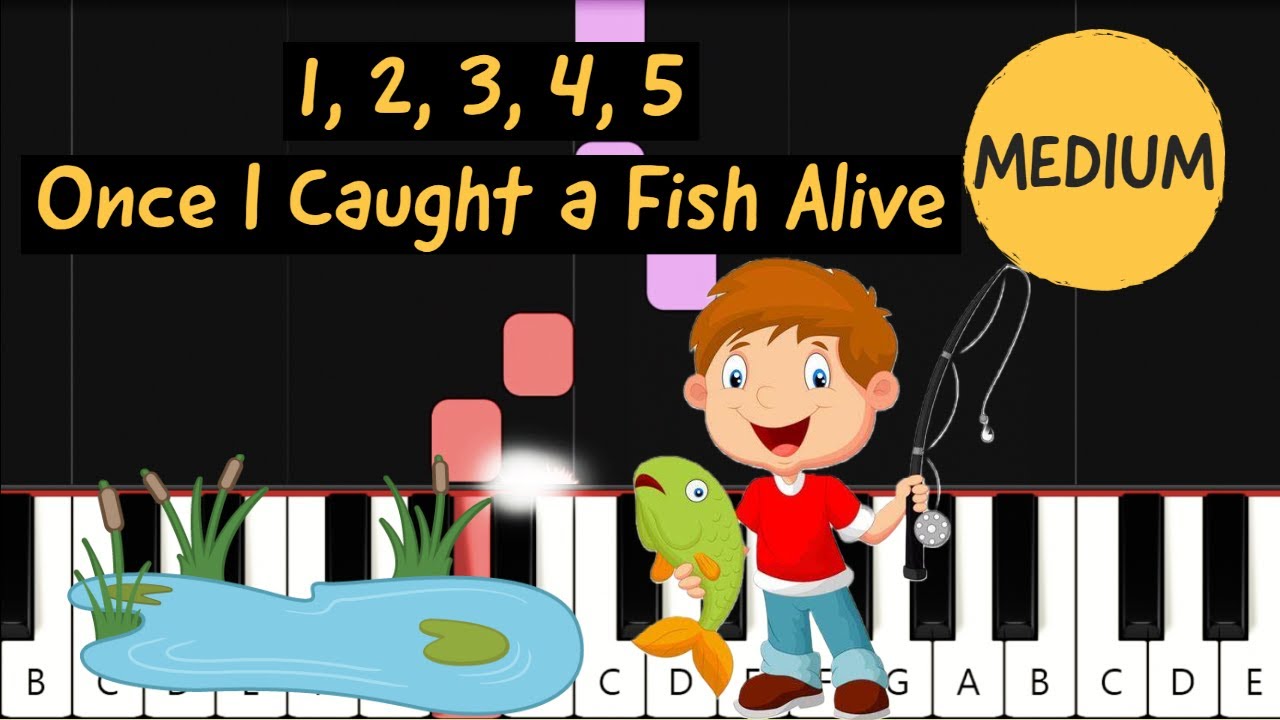 1 2 3 4 5 Once I Caught A Fish Alive Piano Tutorial MEDIUM YouTube 1-2-3-4-5-once-i-caught-a-fish-alive-piano-tutorial-medium-youtube
