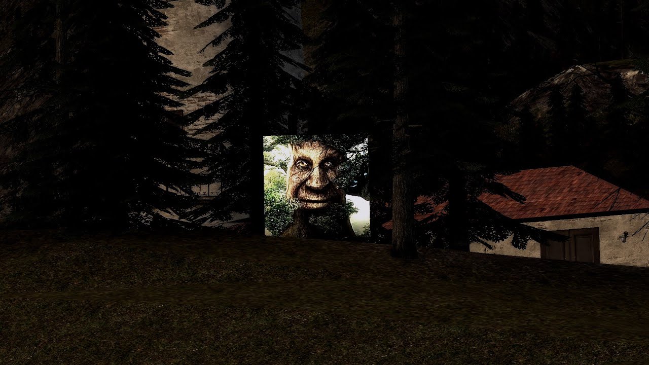wise and mystical tree forest - YouTube