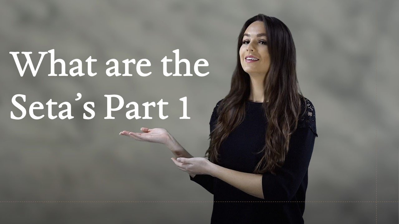 What are the Seta's Part 1 - YouTube