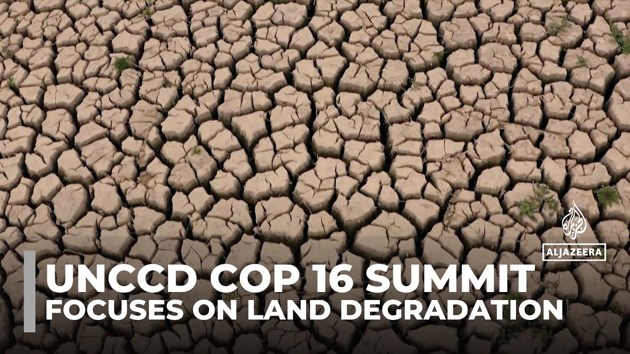 UNCCD COP 16 summit in Saudi Arabia tackles urgent land degradation and ...