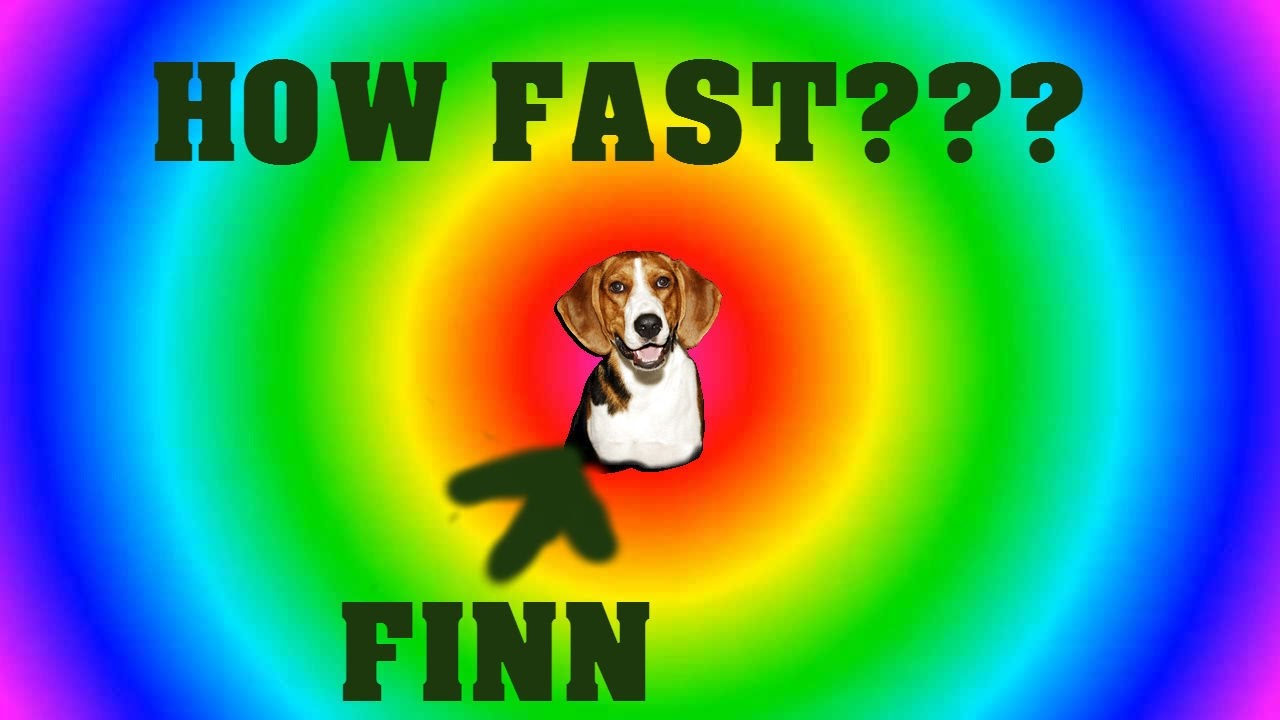 HOW FAST WILL FINN RUN??? - YouTube