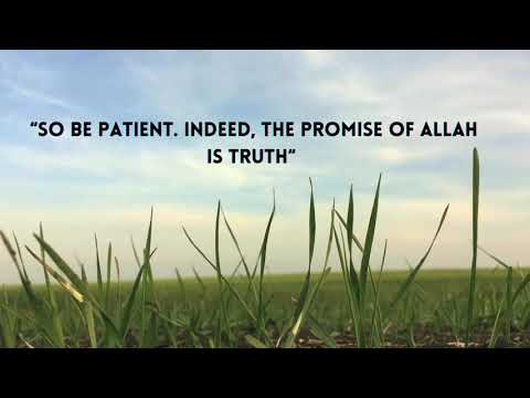 Quran short video, Islamic whatsApp status,Quran whatsApp status