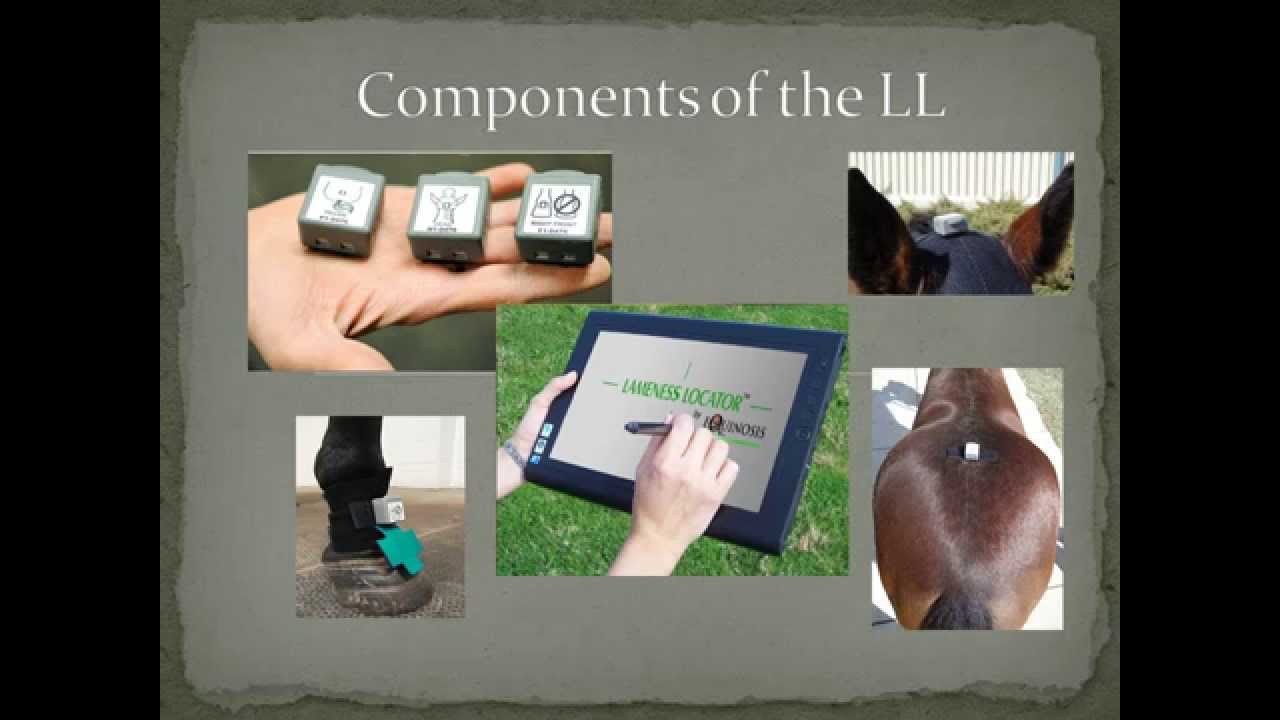 Lameness Locator - YouTube