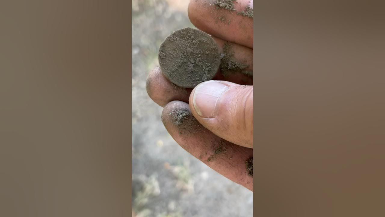 Found! 1787 CT. Copper Coin Metal Detecting Treasure Hunting Relic Hunt Colonial Site Nokta ...