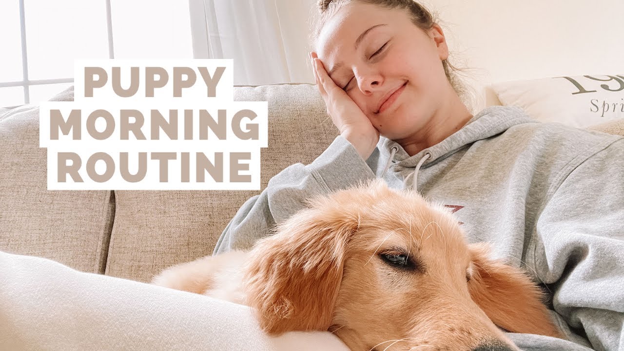 MORNING ROUTINE WITH OUR GOLDEN RETRIEVER PUPPY - YouTube