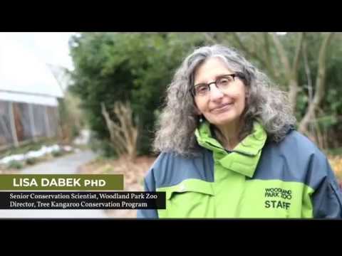 Senior Conservation Scientist Lisa Dabek chats about working with endangered tree kangaroos