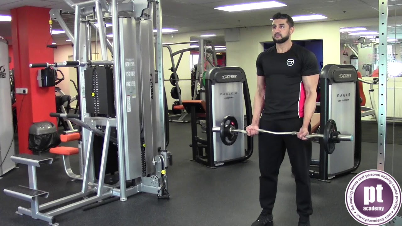 Matrix or Partial Rep Training (21's) - Personal Training: Pt Academy ...