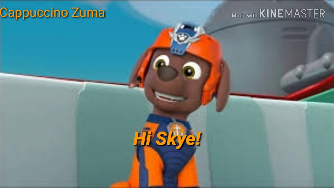 Paw patrol Zuma and Skye comic stript (part1) - YouTube