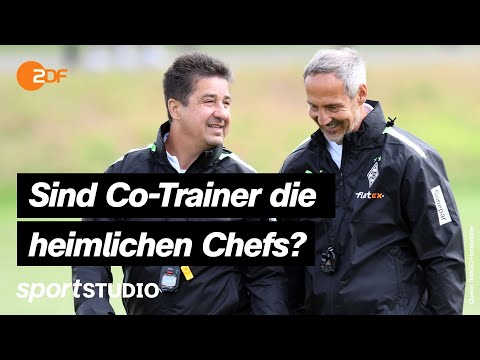 So wichtig sind Co-Trainer im modernen Profi-Fußball | sportstudio