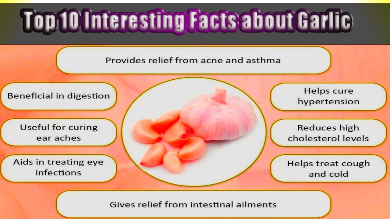 These 10 Interesting Facts about Garlic will surprise you! - YouTube