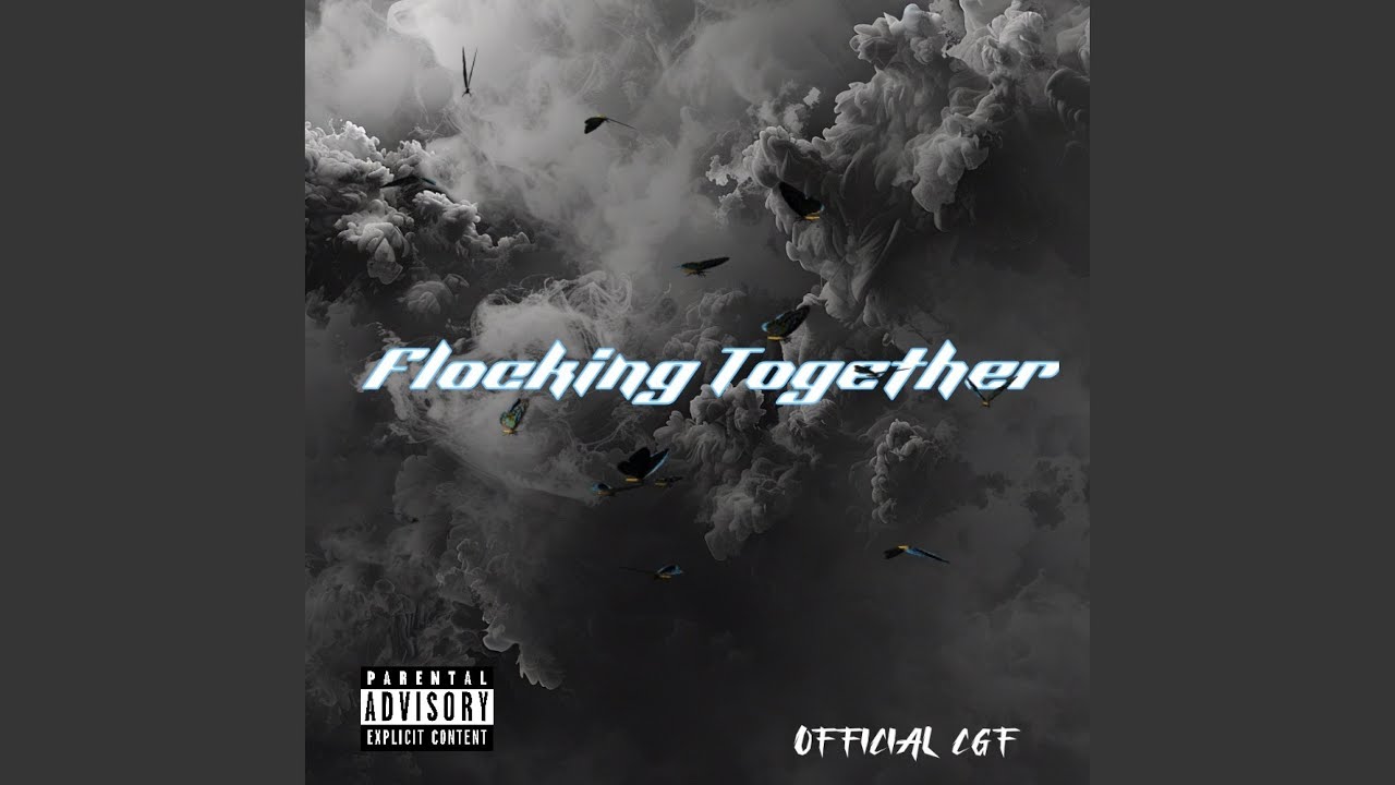 Flocking Together - YouTube