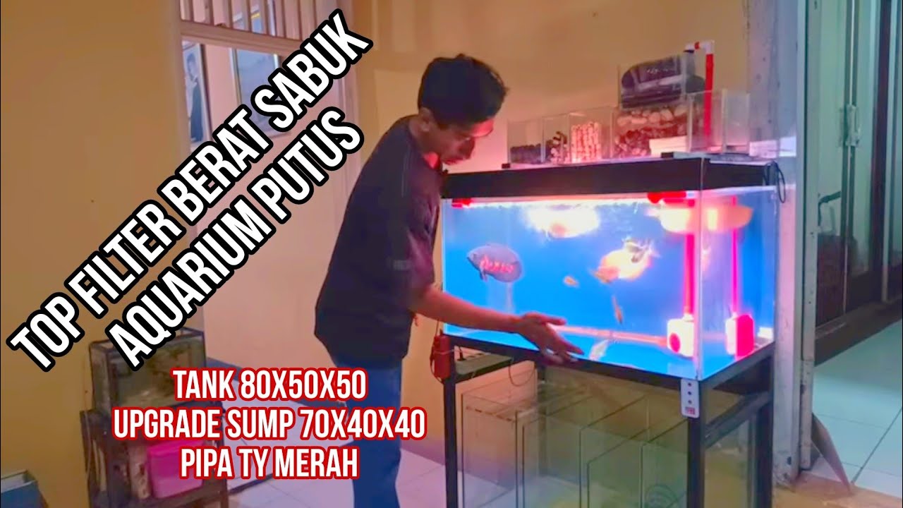 Setting Tank predator 80x50x50 Sumpfilter Tanpa Melubangi Kaca Aquarium ...