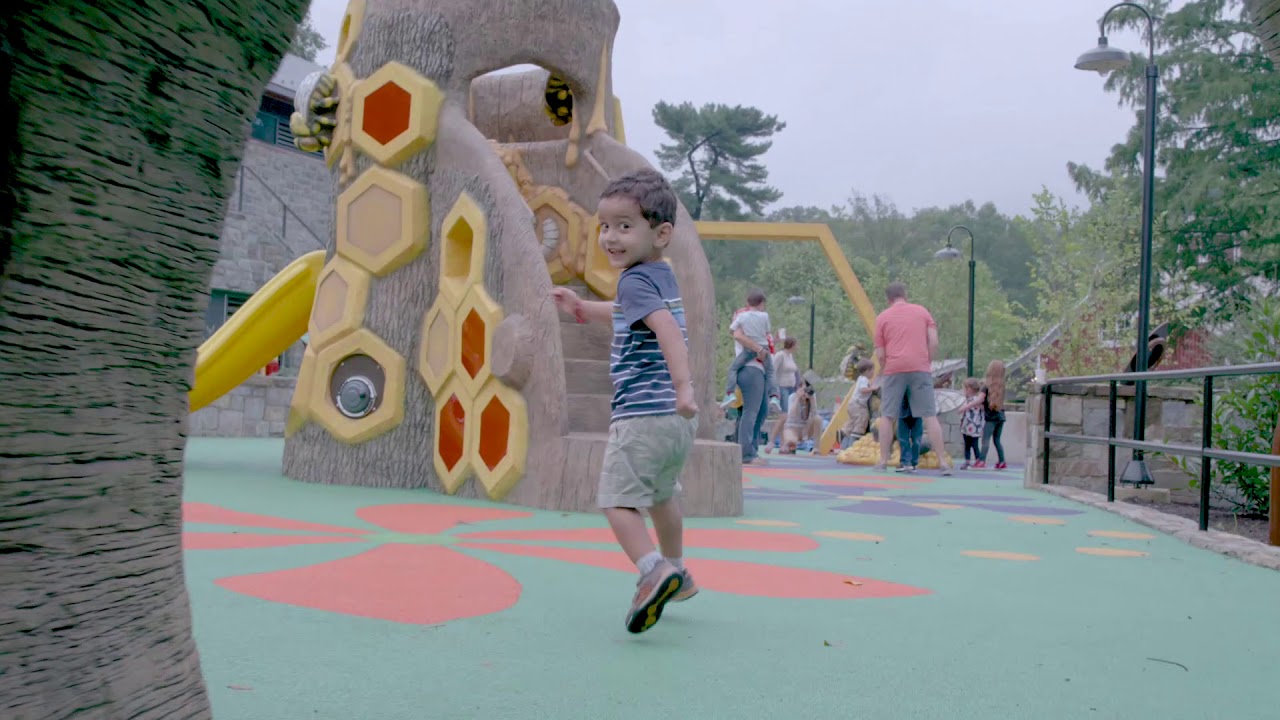 Pollinator Playground: Me and The Bee, sponsored by Land O’Lakes Inc ...