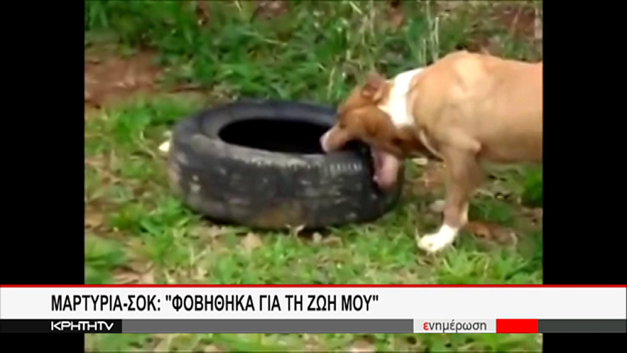 160 ΡΑΜΜΑΤΑ ΣΤΟ ΚΕΦΑΛΙ ΑΠΟ ΤΗΝ ΕΠΙΘΕΣΗ ΣΚΥΛΟΥ - YouTube