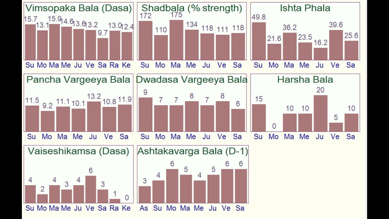How To Make Astrological Chart From Birth Details | Jagannatha Hora ...