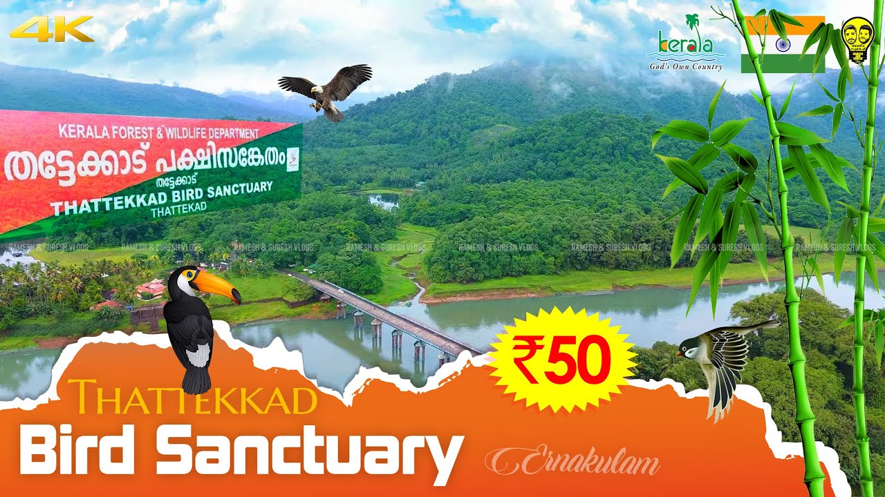 Thattekkad Bird Sanctuary & Butterfly Park Ernakulam Kerala Tourism ...