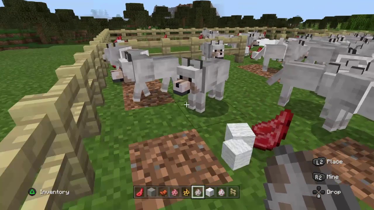 Minecraft SHEEP VS WOLF - YouTube