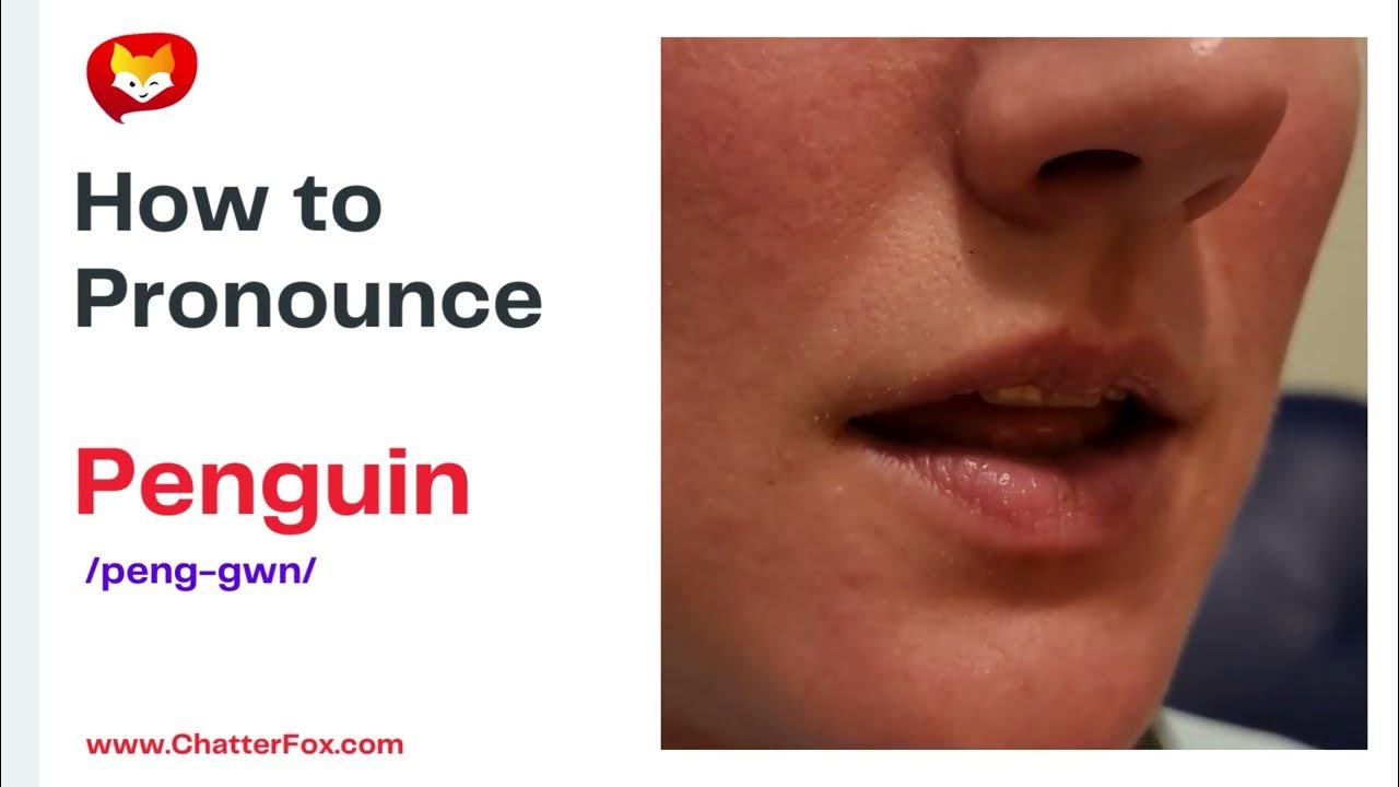 How to Pronounce Penguin, Pronunciation Lessons - YouTube
