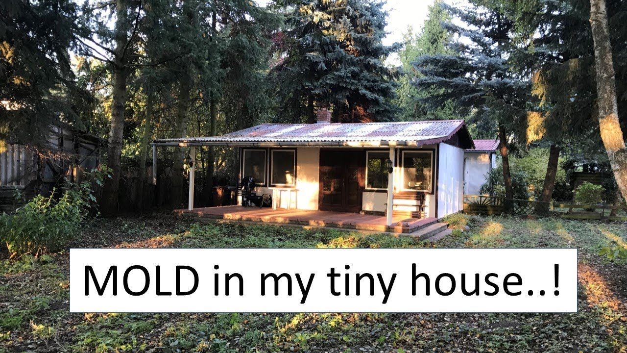 Renovating an abandoned tiny house Part 4: MOLD in my tiny house ...