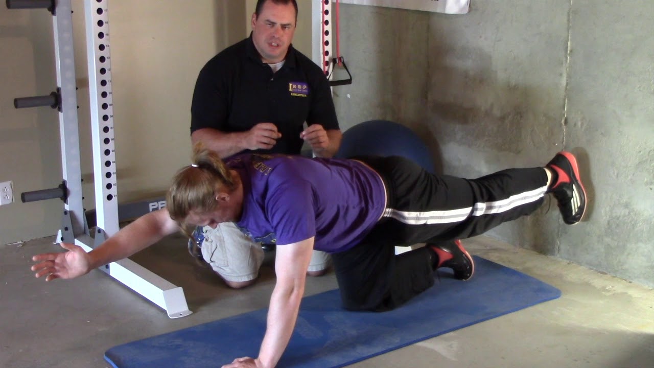 Prone Cobra Superman Bird Dog The Training Plan Source - YouTube