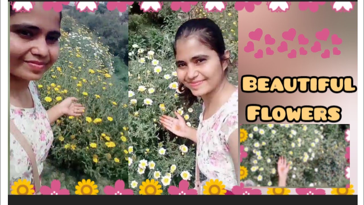 ये बगीचा कितना प्यारा है#beautifulflowers #mathura#मथुरा#बगीचा#bagbaani ...