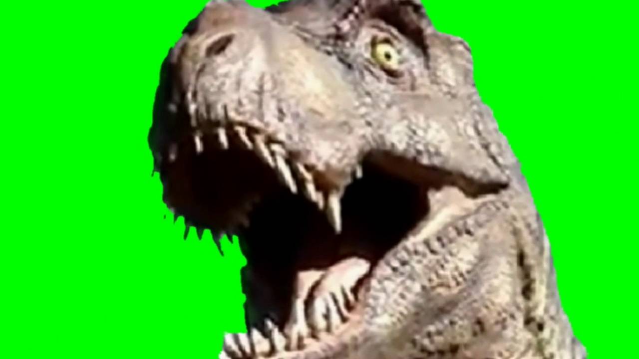 GREENSCREEN ANGRY T Rex DINOSAUR GROWLING 720p - YouTube