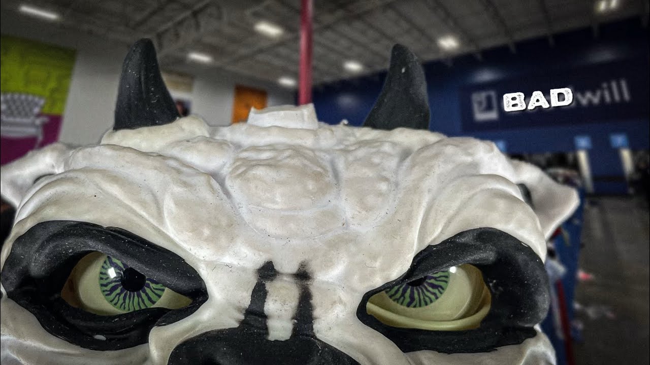 Badwill Boglin Rears His Ugly Head on a Monday • Goodwill Outlet Bins ...