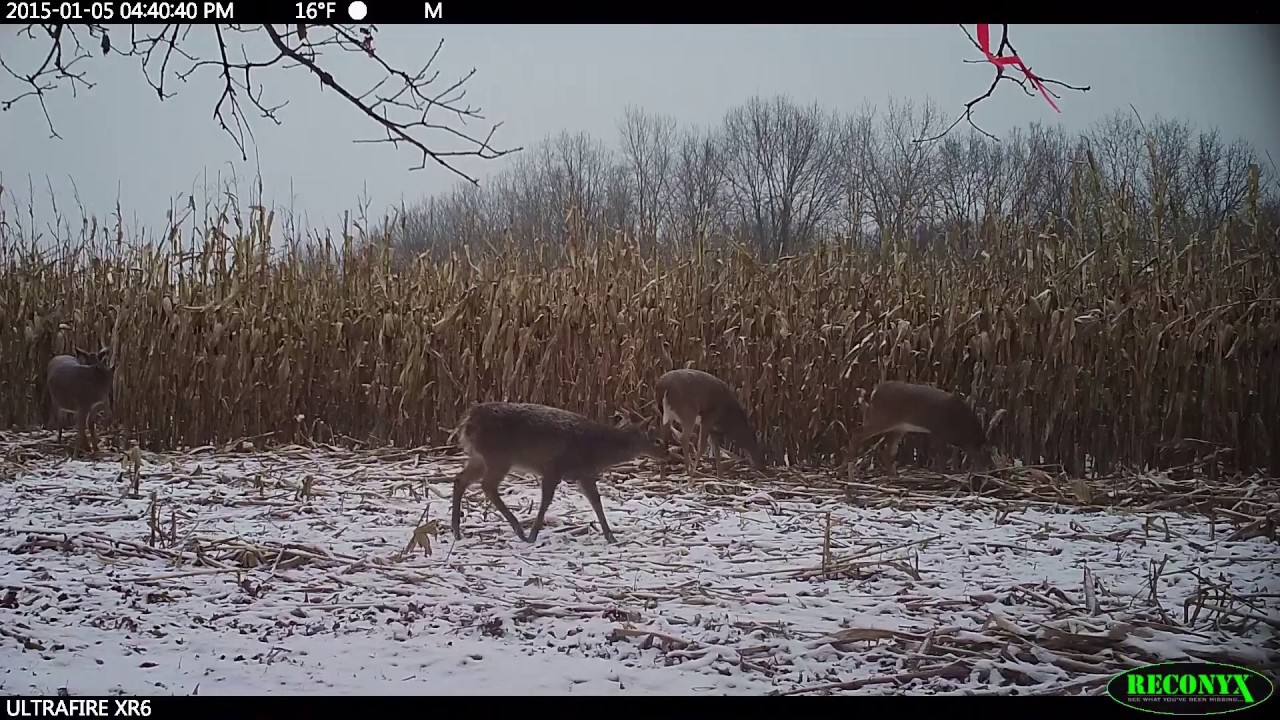 Make a Plan for Your Best Deer Hunting - YouTube