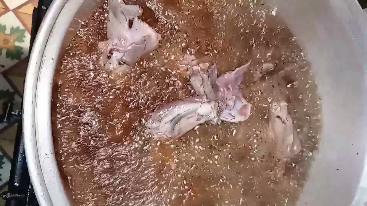 🌿 IGUANA FRITA DELICIOSA COMO CARNITAS 💯 EL SABOR DE LA 20 ☘️ - YouTube