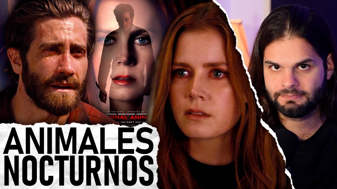 Un análisis SIMBÓLICO | Animales Nocturnos | Relato y Reflexiones - YouTube