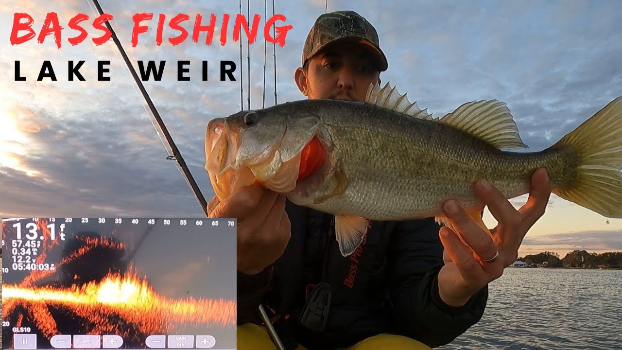 Bass Fishing Lake Weir - YouTube