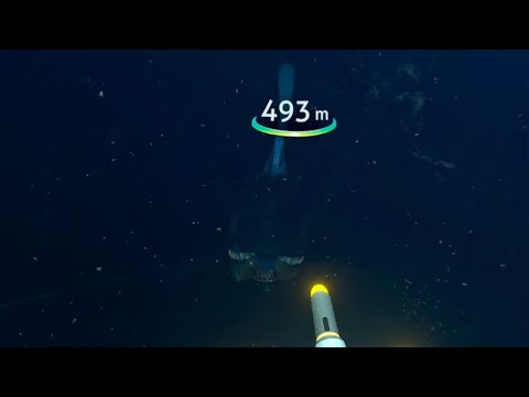 My life be like (subnautica VR the silence mod) - YouTube