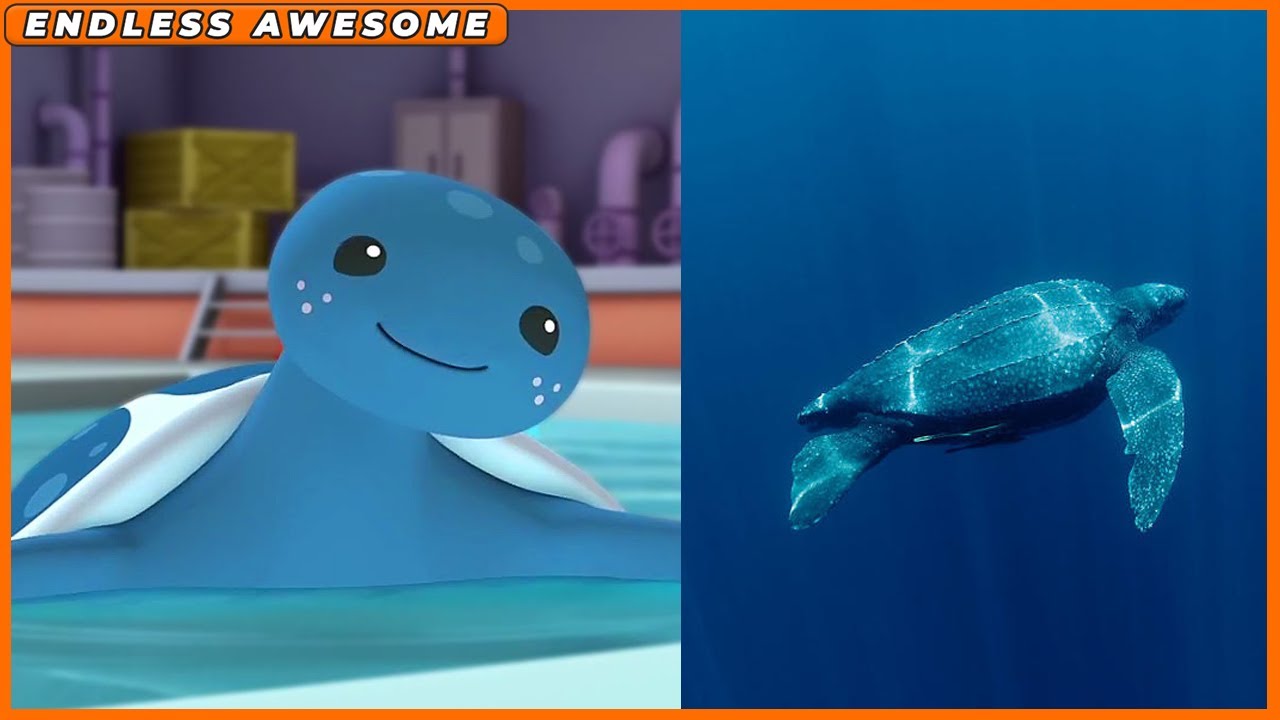 Sandy In Real Life (Octonauts) #shorts - YouTube