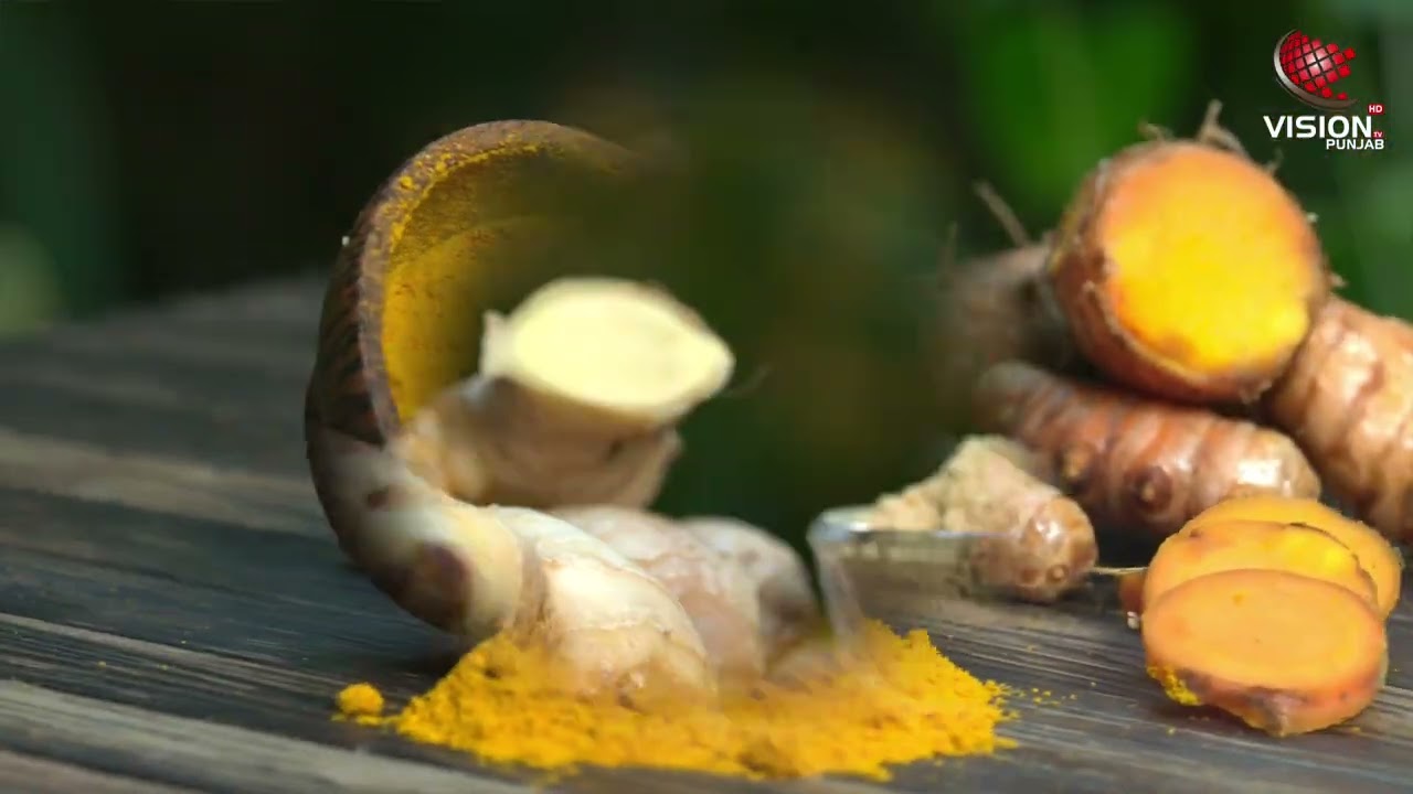 Healthline Promo || Dr.Subhash Goyal MD (Ayurveda) -Topics: Live ...