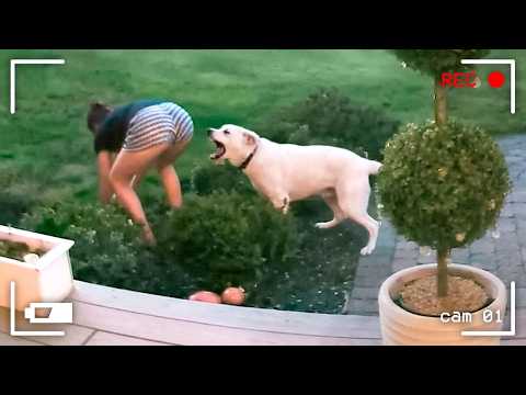 Best Fails of the Month 😂 Try Not to Laugh Challenge