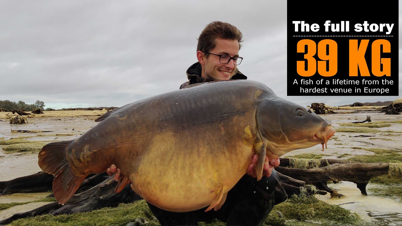 39 KG A fish of a lifetime - Karpfenangeln vom Boot am härtesten ...