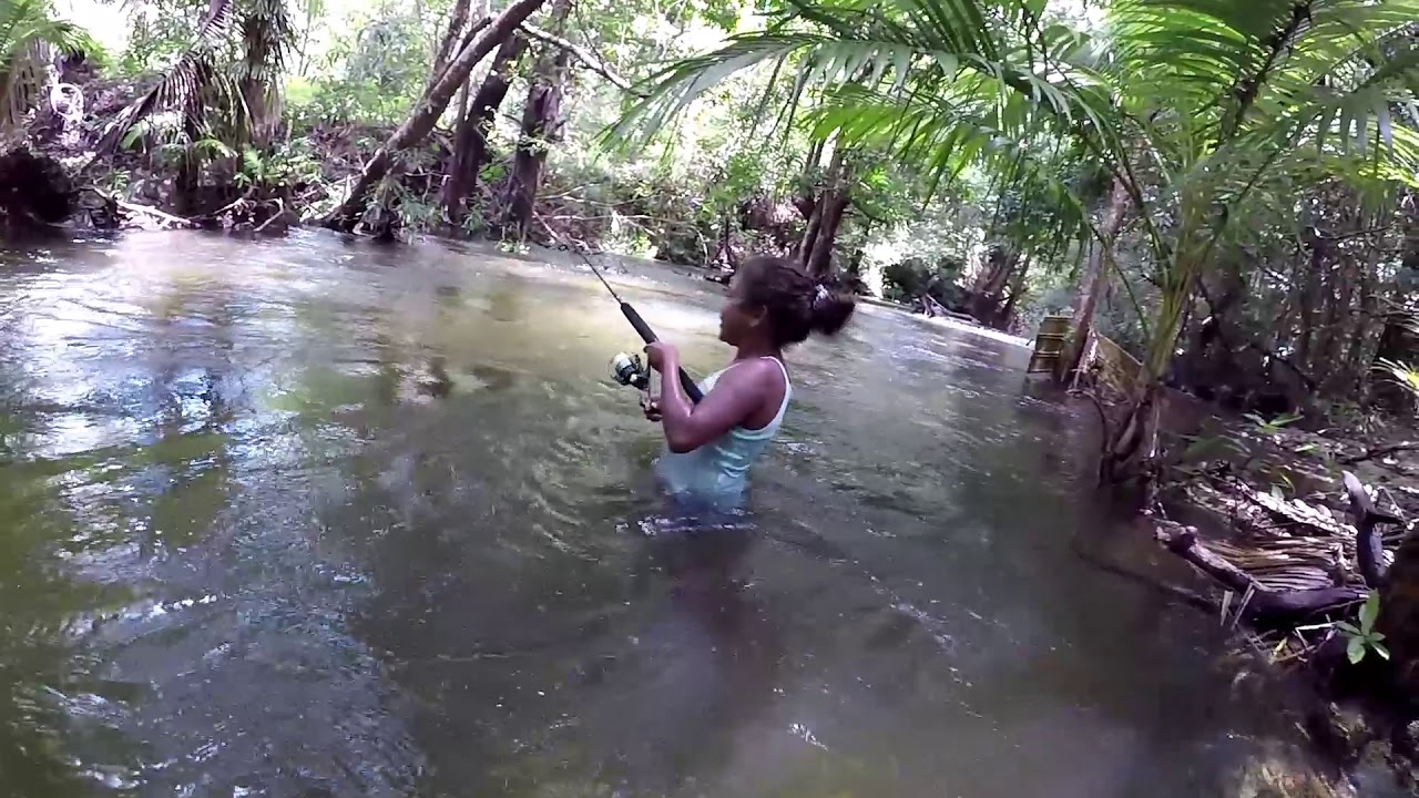 Jungle Perch Fishing - YouTube